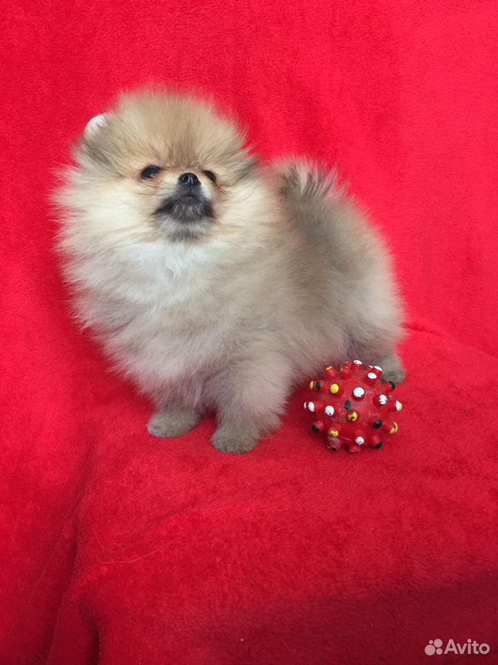 Помочка Дюймовочка