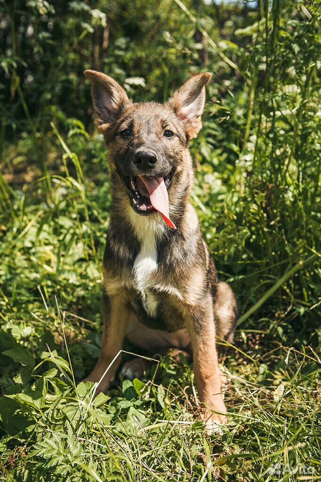 Девочка Фортуна