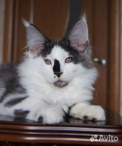 Нам нужна мама