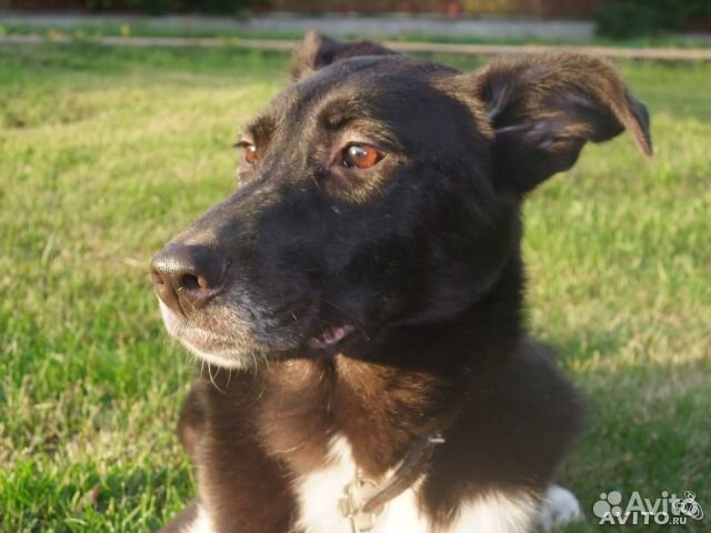 Диана-красавица в белых перчатках