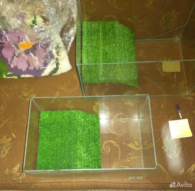 Черепашники