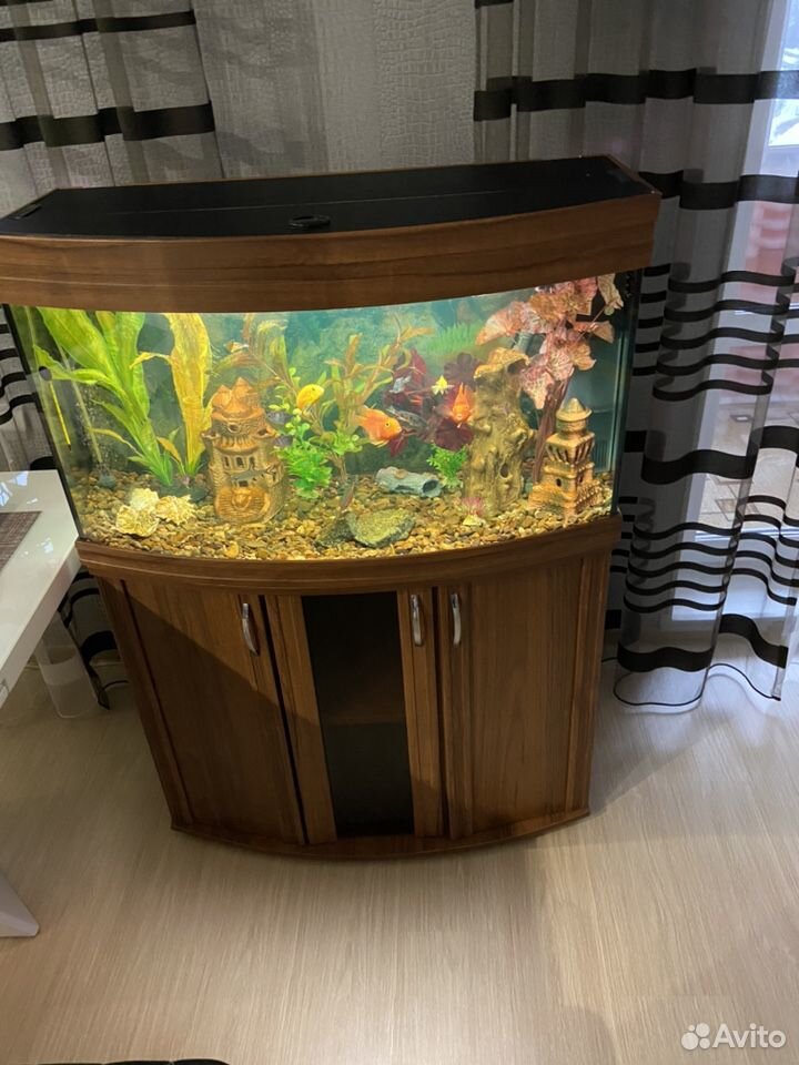 Аквариум