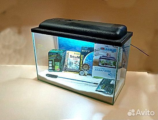Аквариум для начинающих