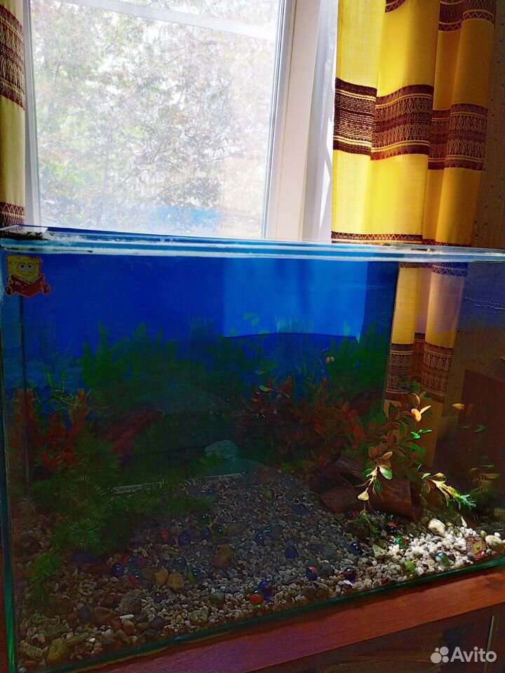 Аквариум 60-70 литров