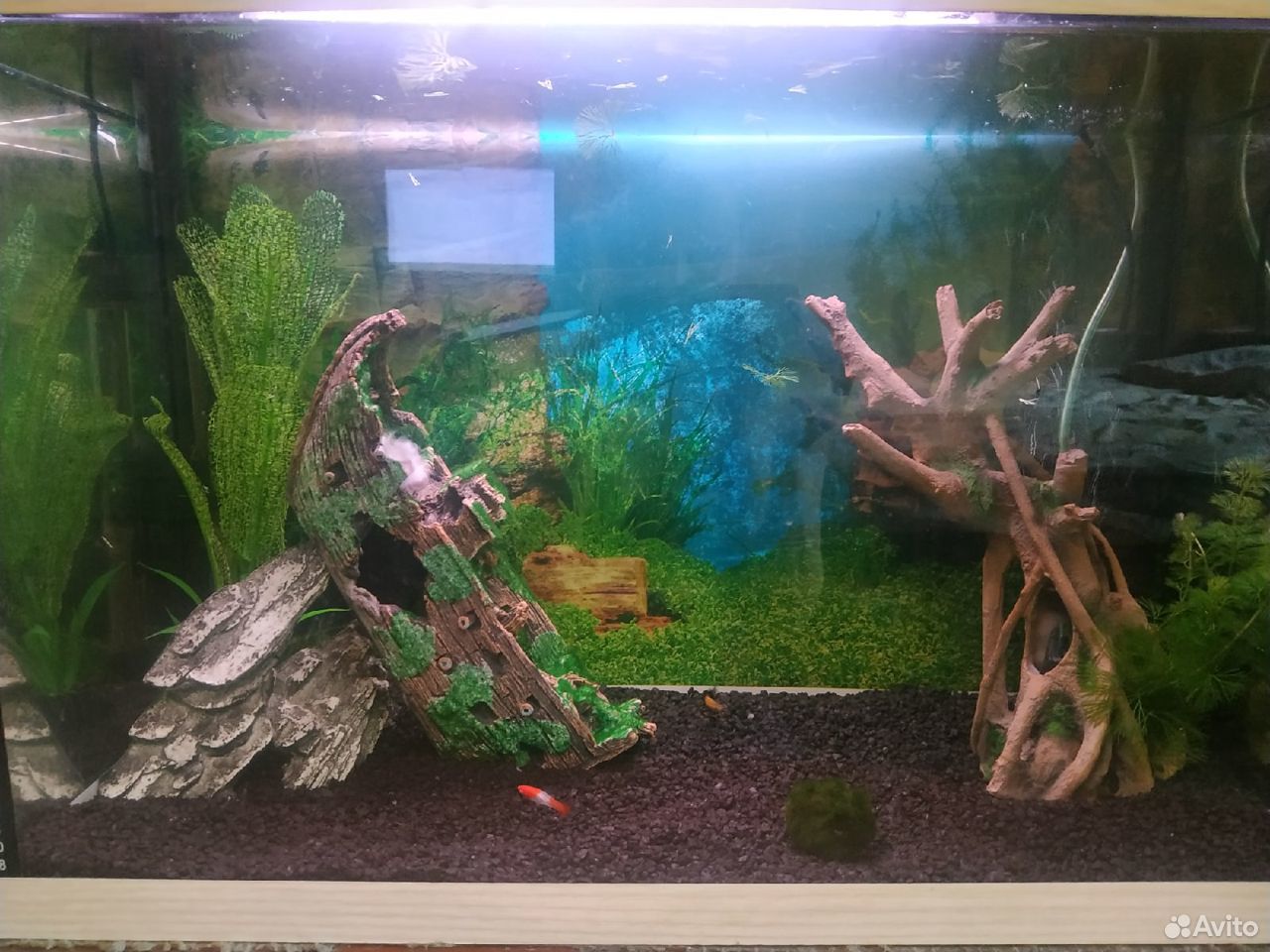 Аквариум 70 л