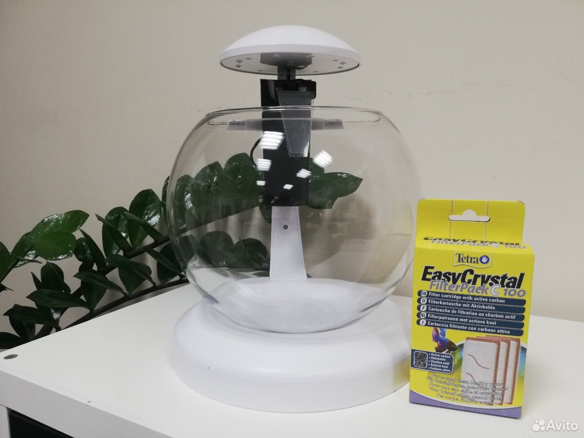 Аквариум не нуждающийся в уходе