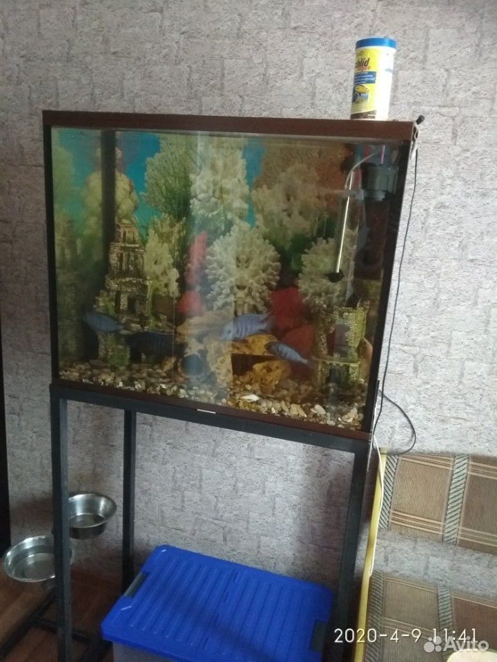 Аквариум