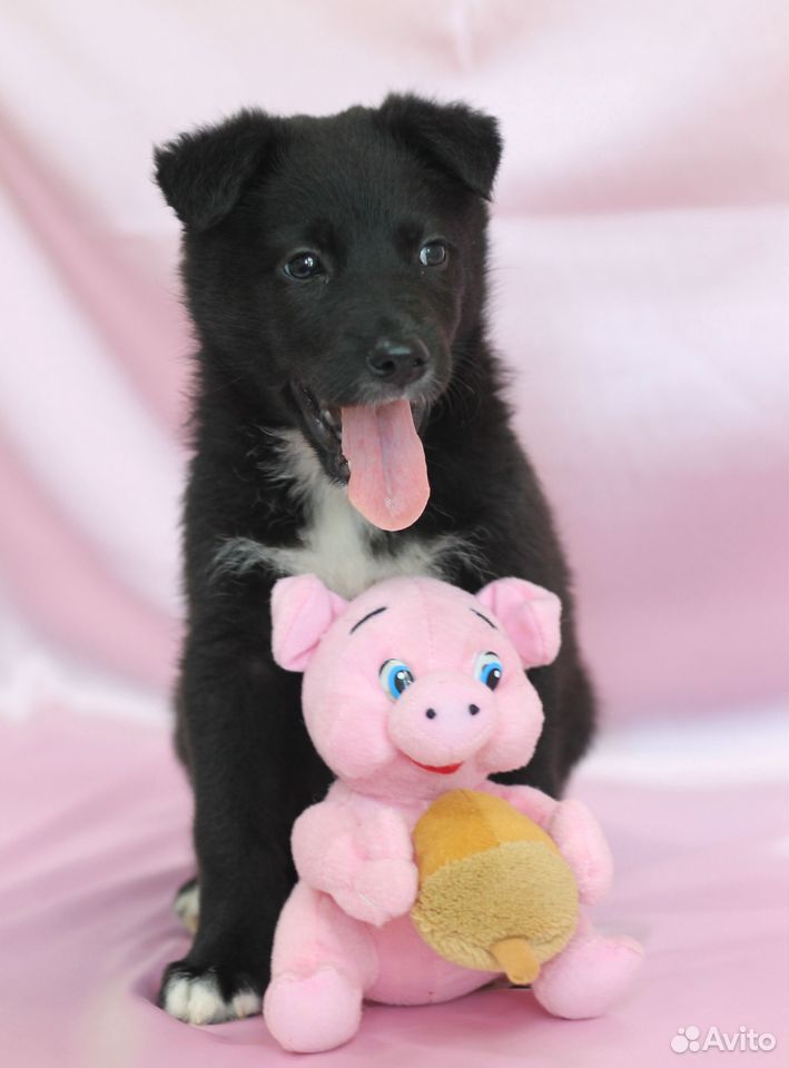 Веселая Клякса