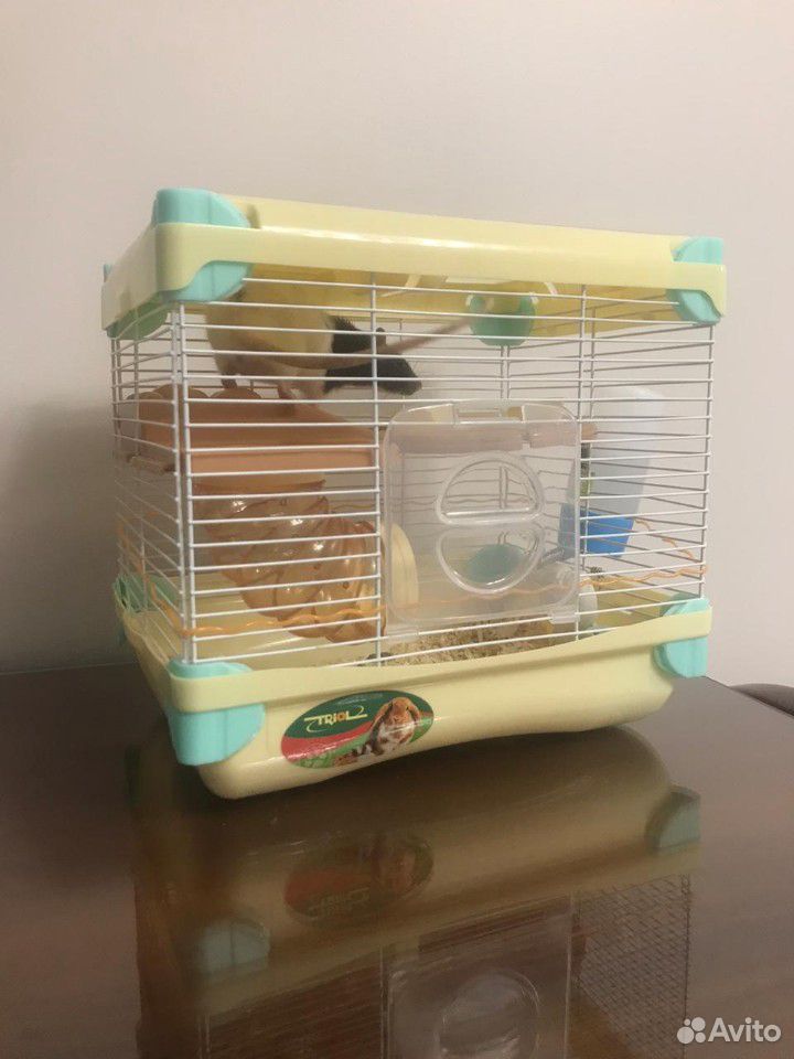 Крыса с клеткой