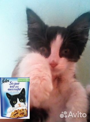 Тот самый Феликс