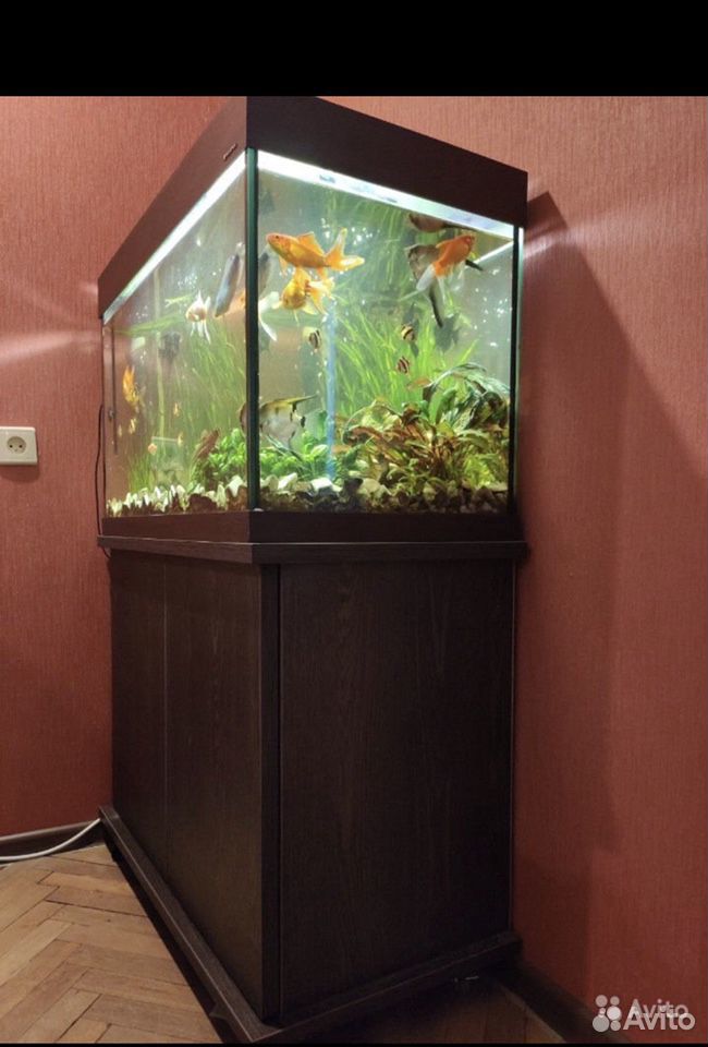 Аквариум