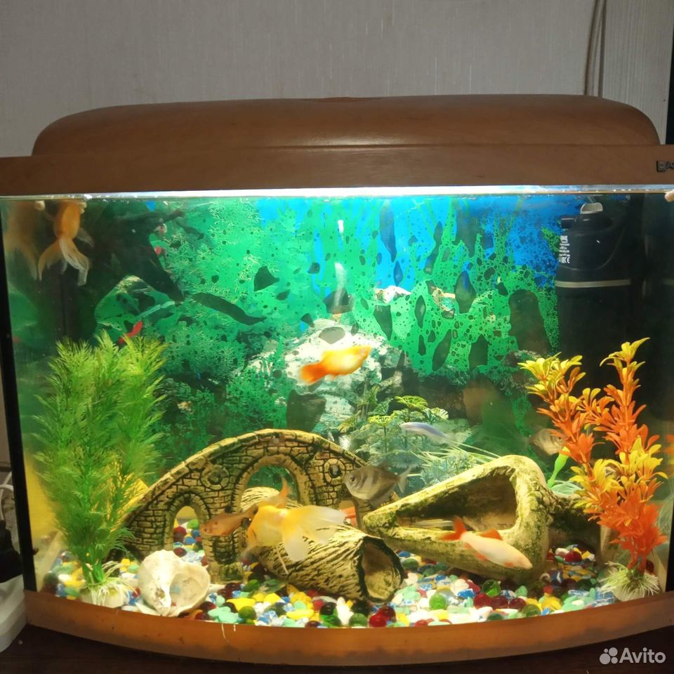 Аквариум AquaPlus со всем необходимым и рыбками