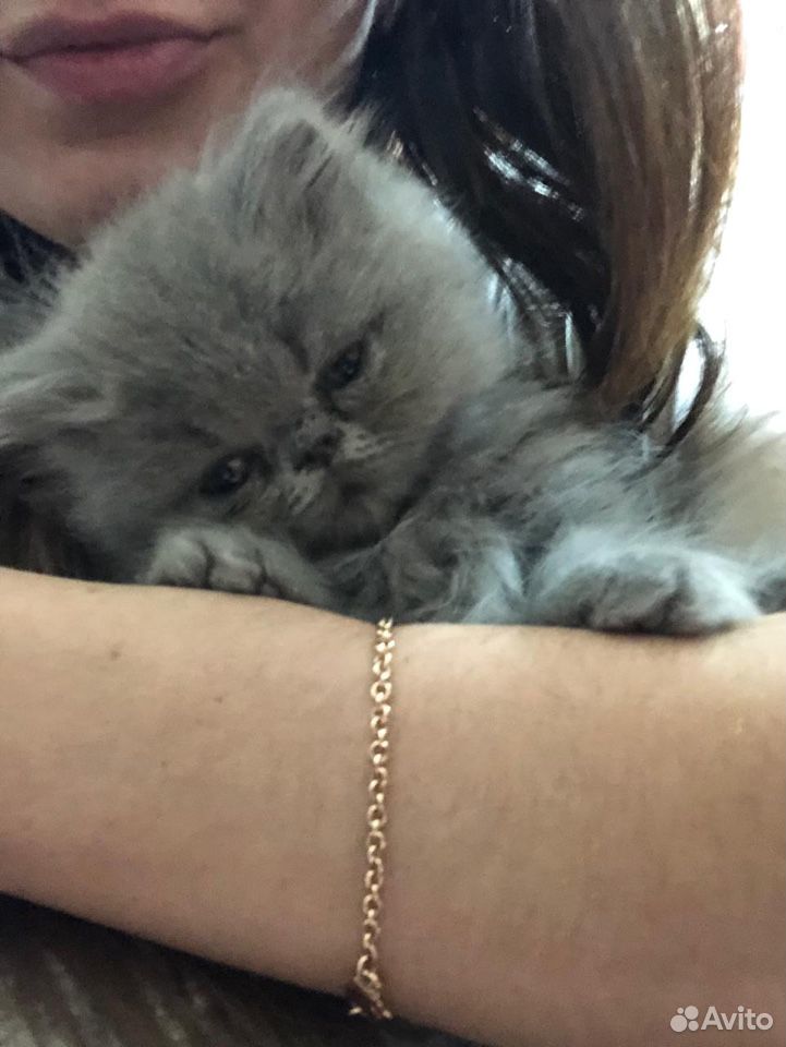 Персидская