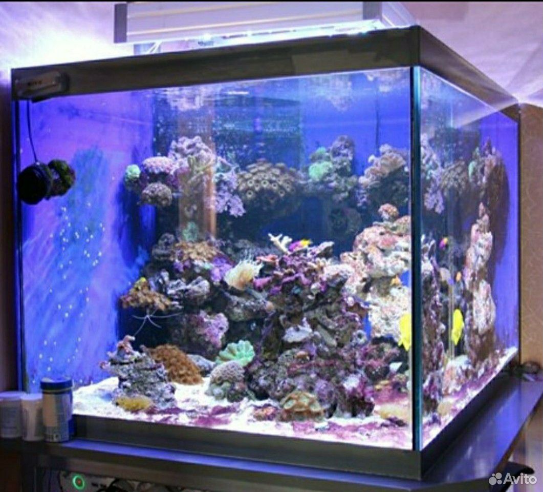 Аквариум 560л с подставкой