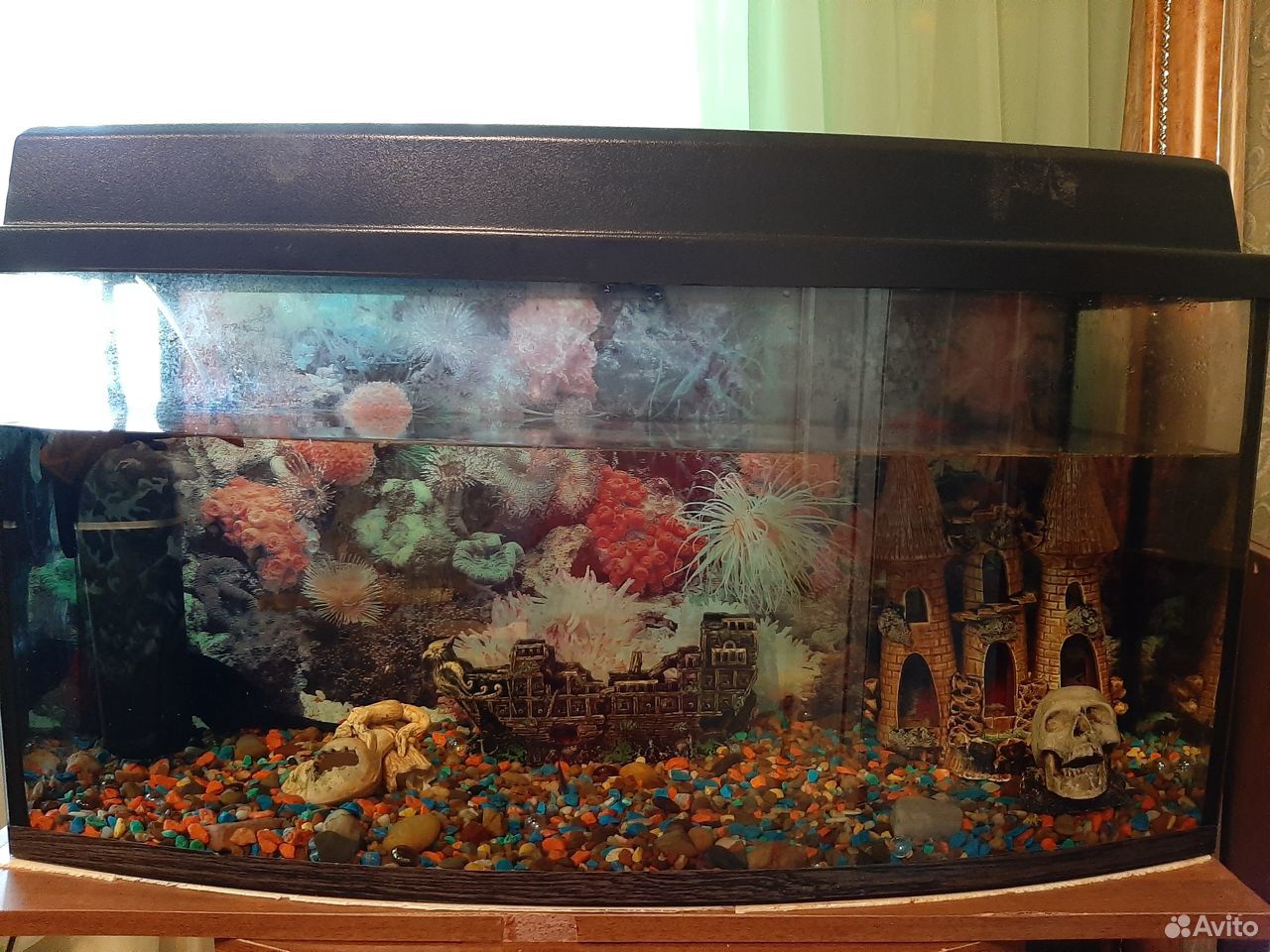 Аквариум