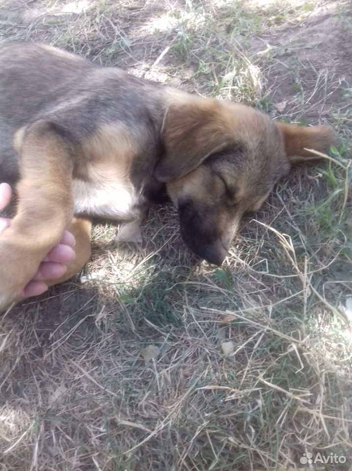 Маленький никому не нужный Принц в добрые руки