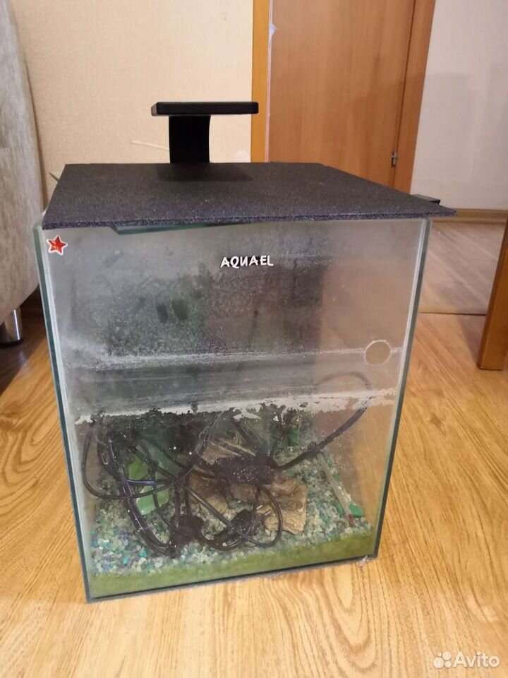 Аквариум