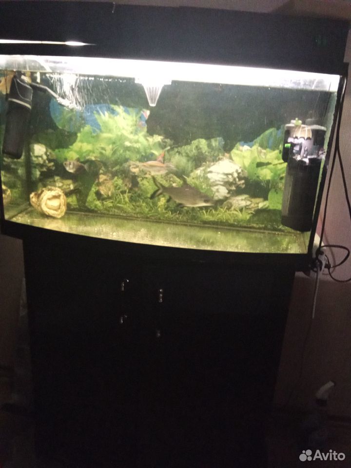 Аквариум с рыбками, тумбой и всеми необходимыми ак