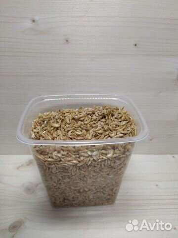 Гаммарус сушеный