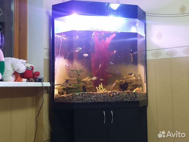 Аквариум 550литров