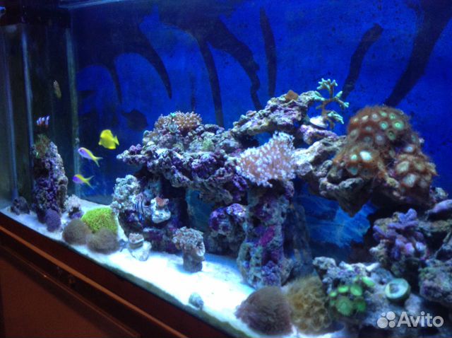 Продам аквариум
