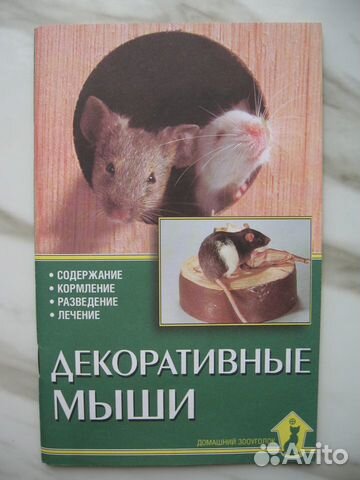 Декоративные мыши - содержание, уход