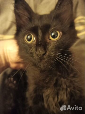 Малышка Сандра