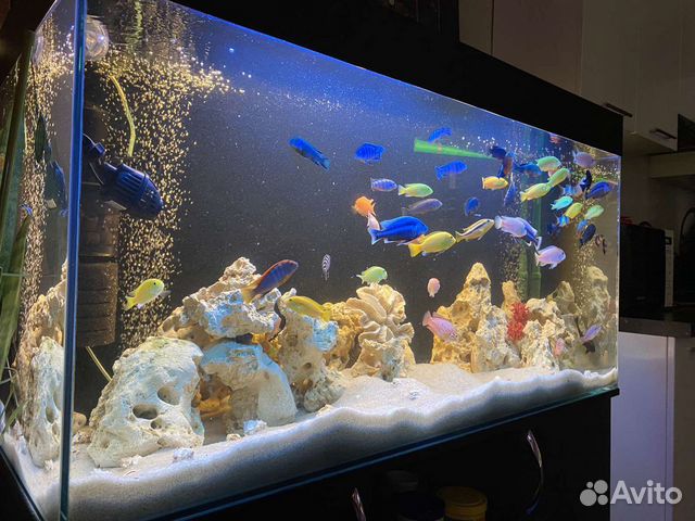 Аквариум 360 литров