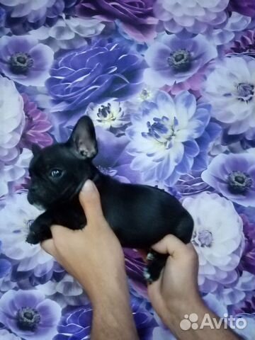 Мини булочка