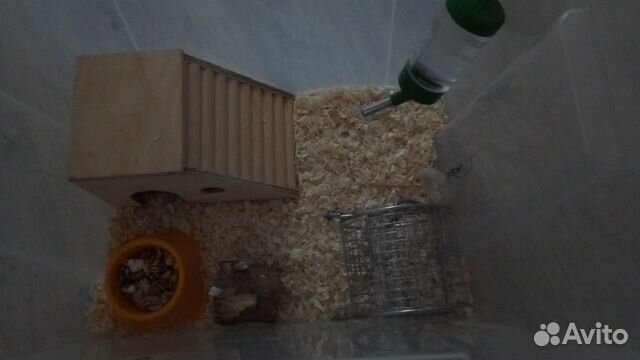 Декоративная мышь с клеткой