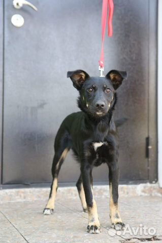 Зара ищет семью