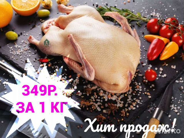 Французская мускусная утка