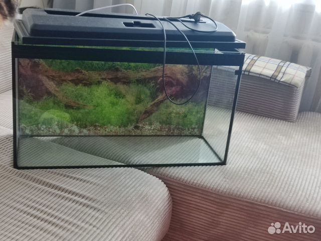 Аквариум