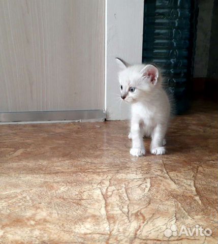 Мальчик красавчик