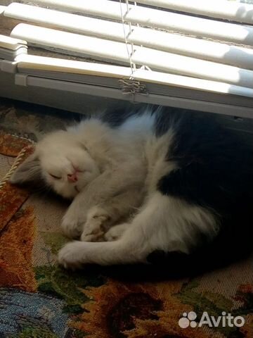 Милая девочка, самая лучшая для вашей дочки