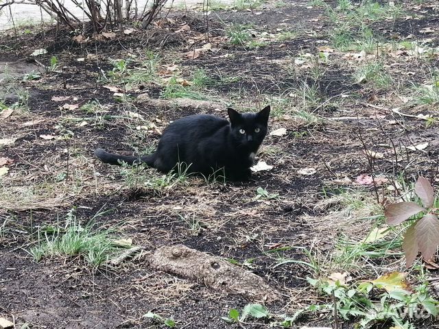 Маленькое Счастье