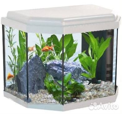 Аквариум Aquatlantis atlantis calypso 40 (27 л)