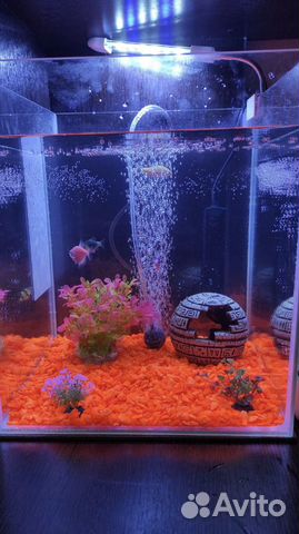 Аквариум