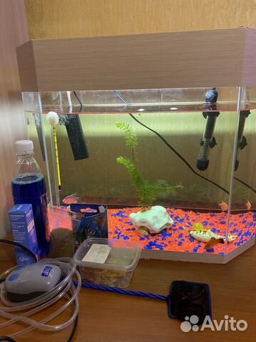 Аквариум