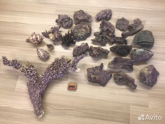 Декорации для аквариума. Псевдоморе