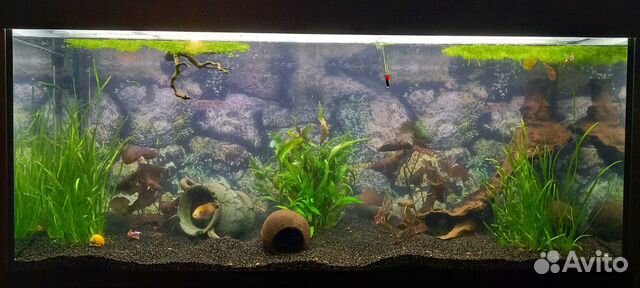 Аквариум