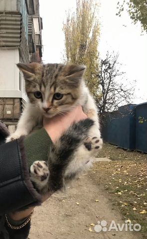 Милашечка