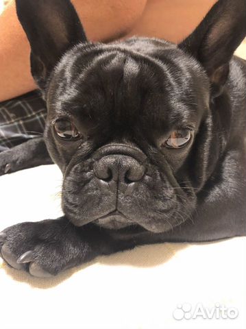 Милый мальчик ищет себе подругу