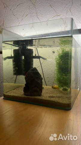 Аквариум с фильтром