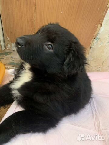 Мамочка я тебя жду