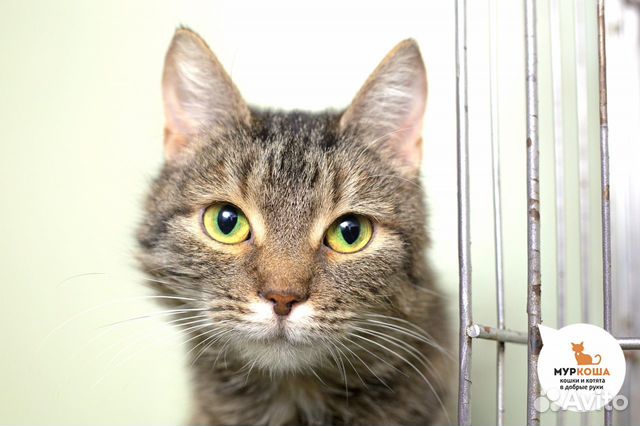 Пролетарка смесь нежности и ума