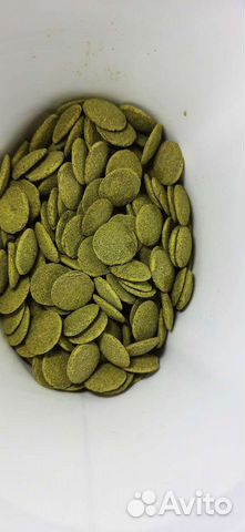 Корм для сомов