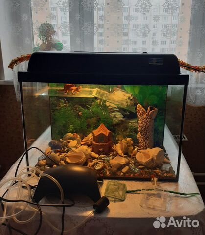 Акватеррариум 30л.с освещением+ компрессор + декор