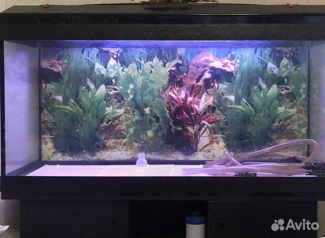 Аквариум 340 л