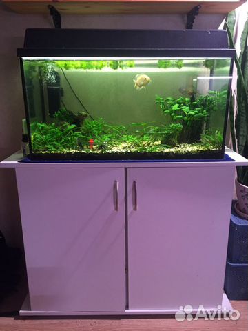 Аквариум 80 литров с тумбой